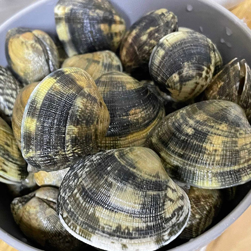 Live Clams (鮮活細蜆) 1KG – A Tasty Box