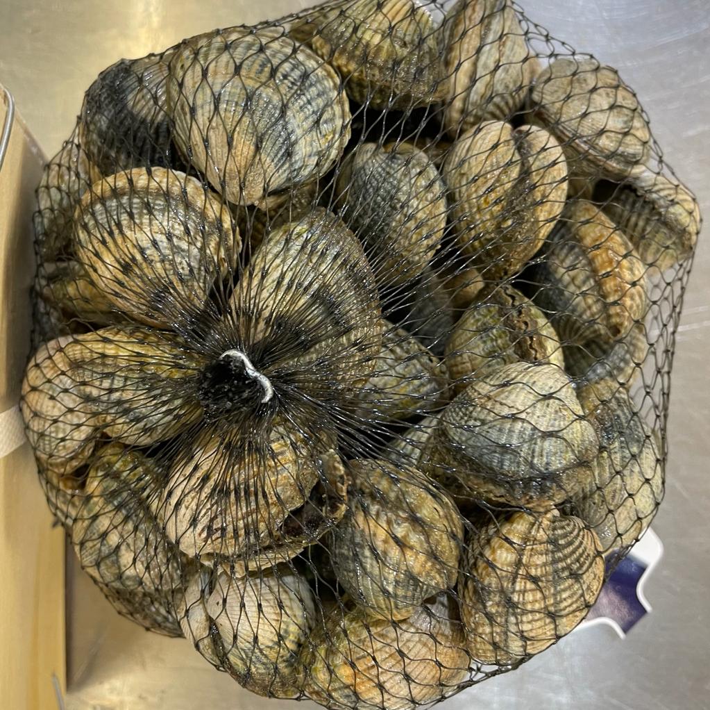 Live Cockles (鮮活螄蚶) 1KG – A Tasty Box